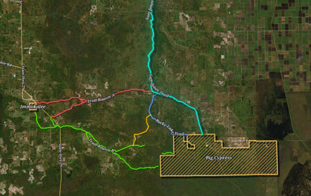 The Big Cypress Historic Trail - Seminole Tribal Historic Preservation ...